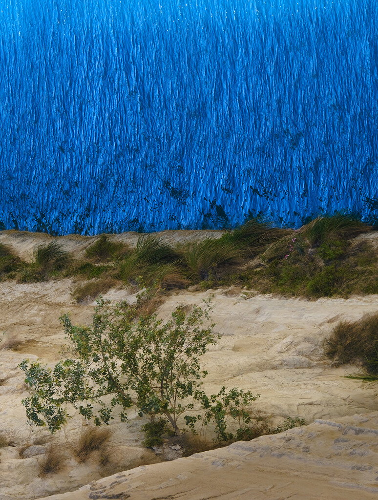 Discovering my love for Small Scenes - Image Critiques - Nature ...