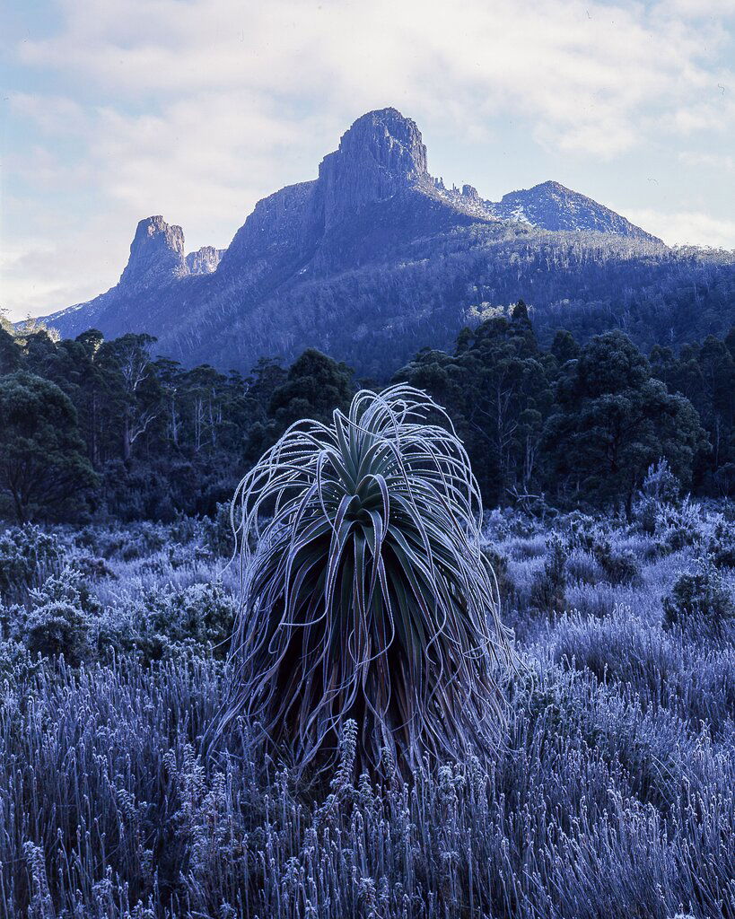 Pandani and Mount Acropolis ( + Rework) - Landscape Critiques - Nature ...