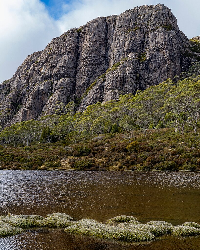 Pineapple grass beneath a mountain - Image Critiques - Nature ...