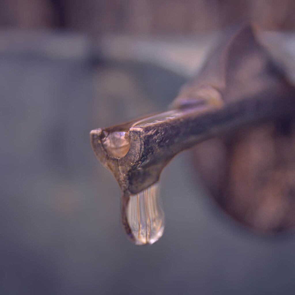 Maple Syrup Tap - Weekly Challenge - Nature Photographers Network