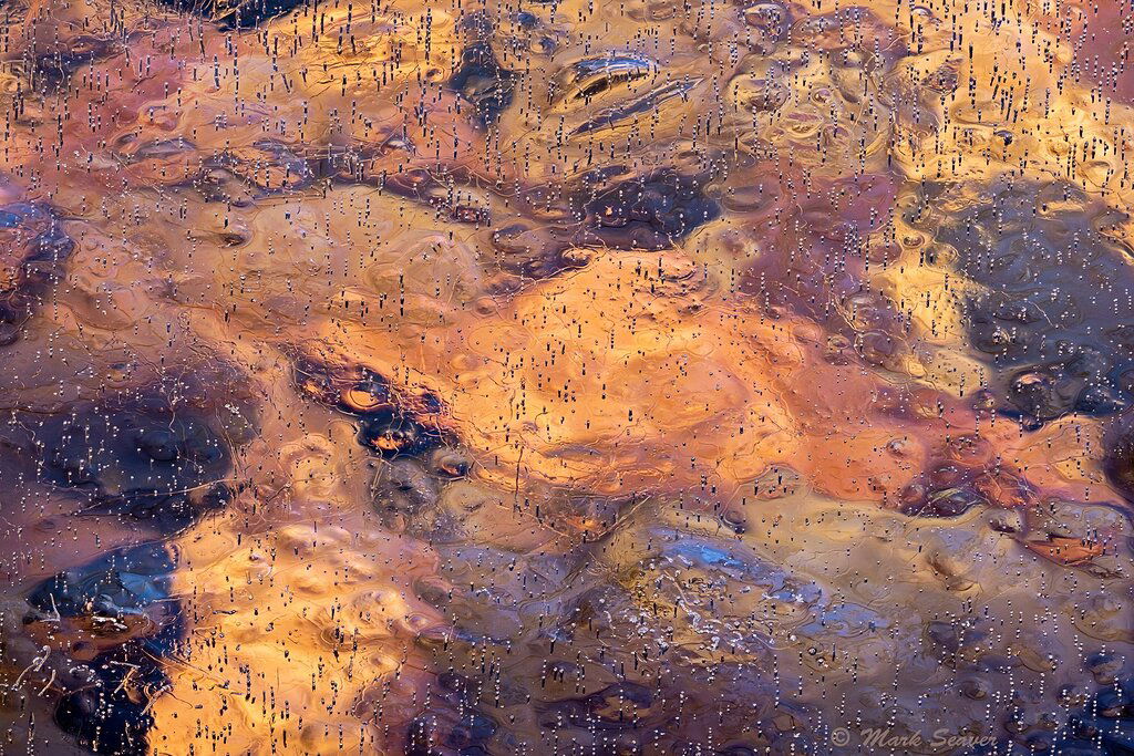 Find the bug - Abstract Nature Critiques - Nature Photographers Network