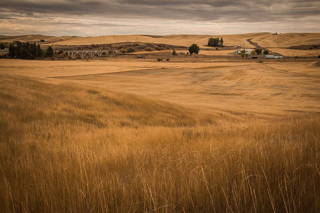 Palouse in Autumn - Weekly Challenge - Nature Photographers Network