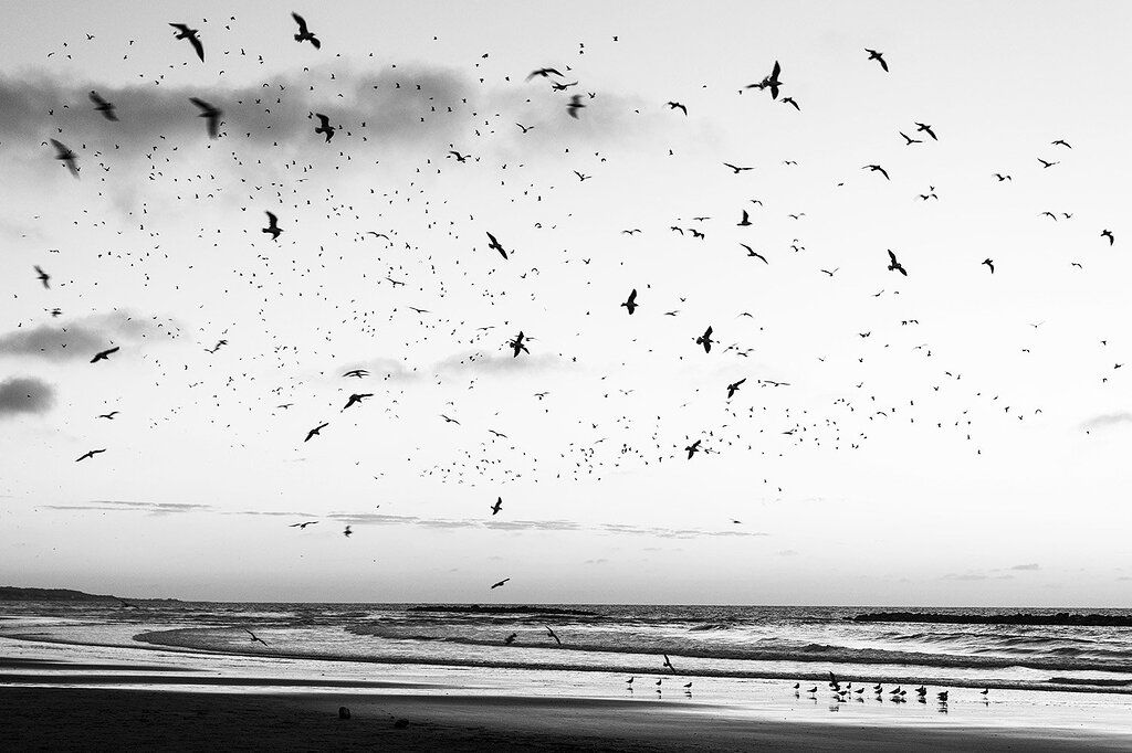 Vuelo libre - Free flight + Rework - Landscape Critiques - Nature ...