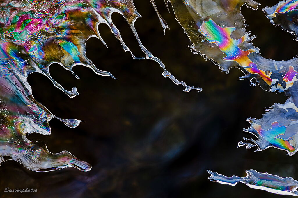 Icy Tendrils - Macro/Close-up Critiques - Nature Photographers Network
