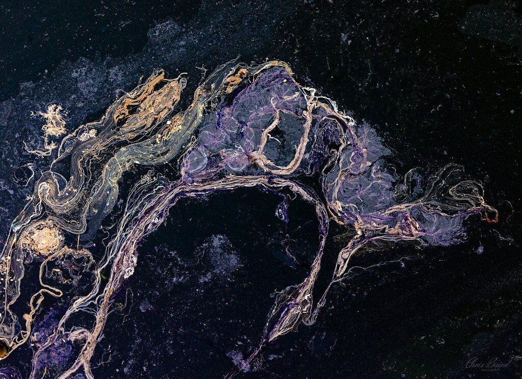 Floating Galaxy - Abstract Nature Critiques - Nature Photographers Network