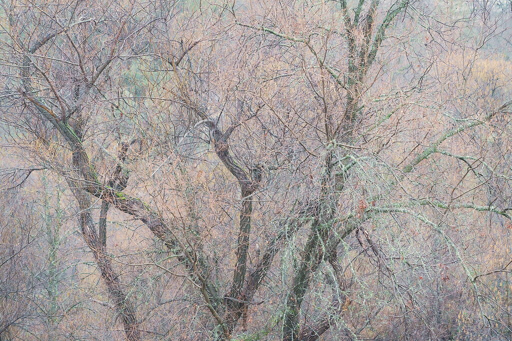 Colorful Chaos + Rework - Landscape Critiques - Nature Photographers ...