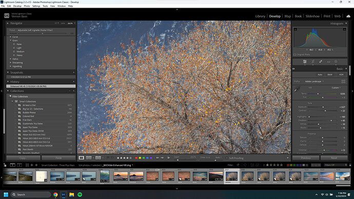 Lightroom masking artifacts - Discussions - Nature Photographers Network