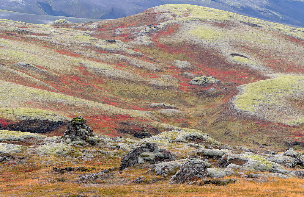 Autumn on the ground + original uncropped image - Landscape Critiques ...