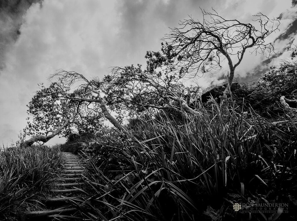 On the Other Side: Discovering the Unseen +Rework - Landscape Critiques ...