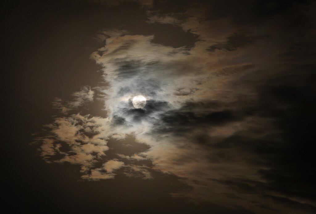 The night after Christmas... - Image Critiques - Nature Photographers ...