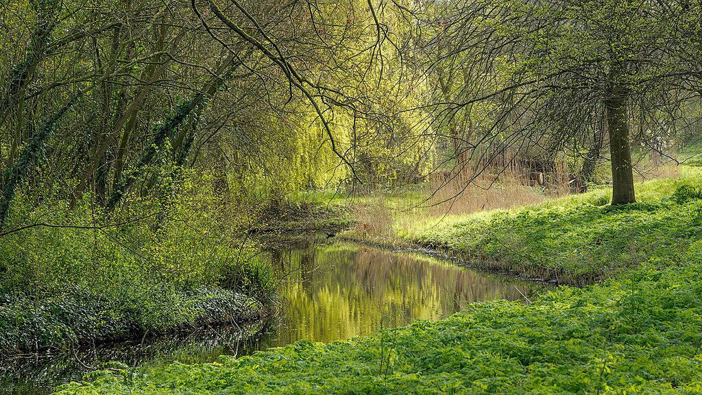 After the rain - Landscape Critiques - Nature Photographers Network