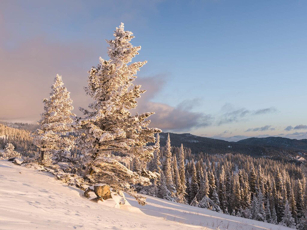 Confections - Landscape Critiques - Nature Photographers Network