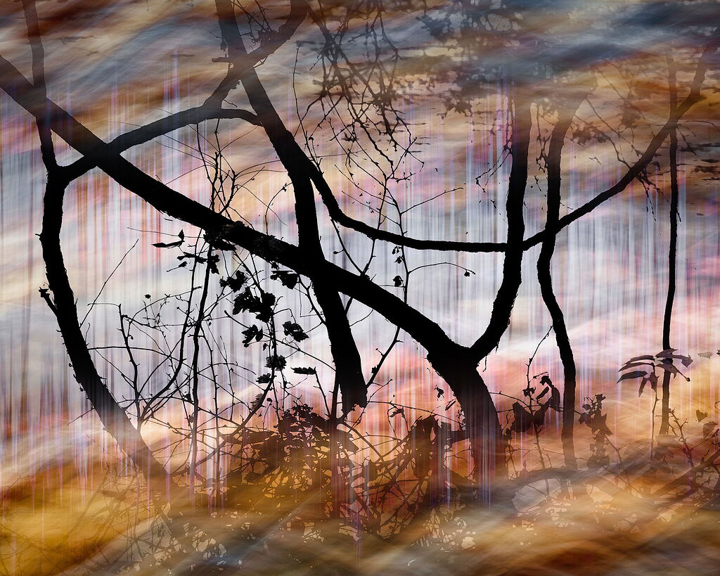 Fall is Here! + Rework - Image Critiques - Nature Photographers Network
