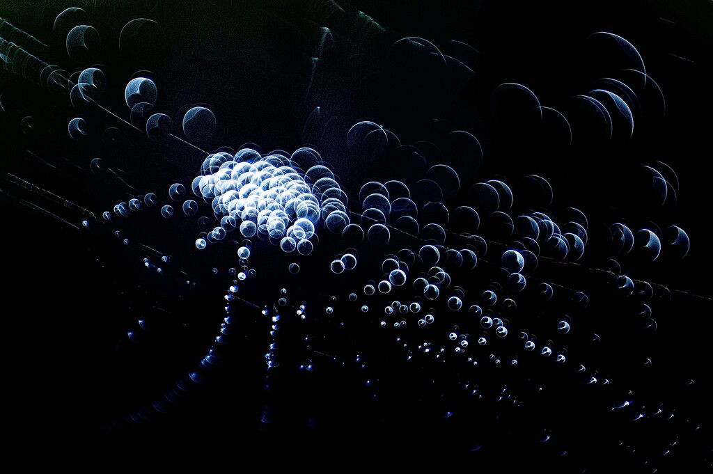 Spider bubbles - Weekly Challenge - Nature Photographers Network