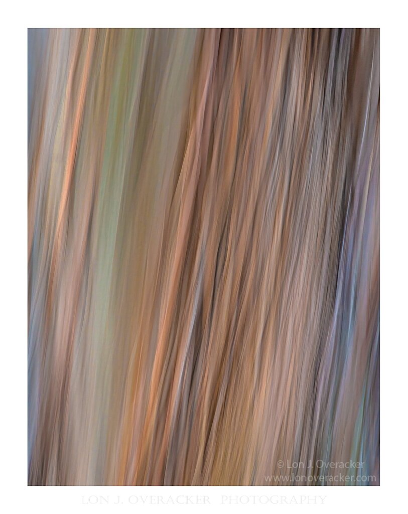 Colour My World: The reveal :-) - Abstract Nature Critiques - Nature ...