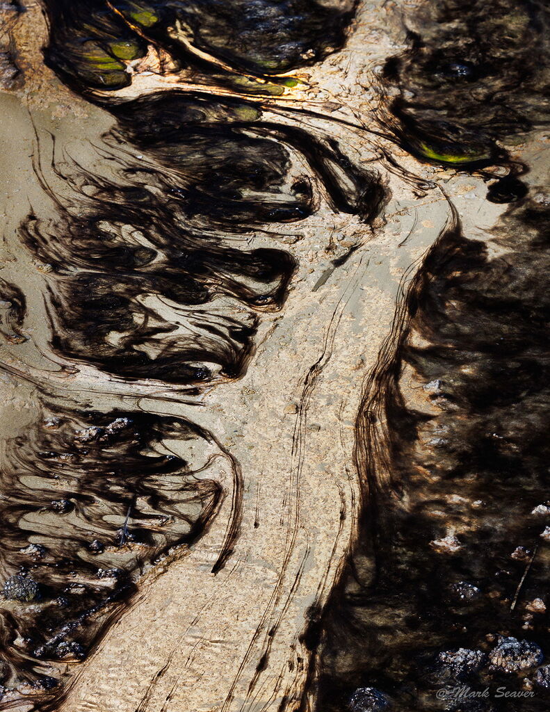 A Norris Dragon - Landscape Critiques - Nature Photographers Network