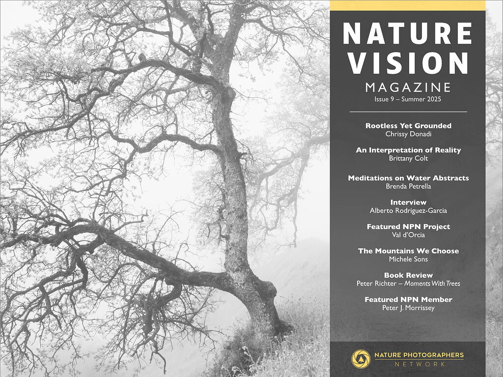 Nature Vision Magazine - Issue 9 (Summer 2025) - Discussions - Nature ...