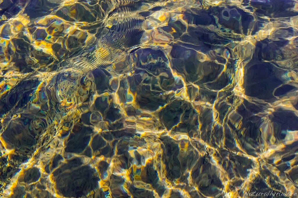 Lake Water Gold - Abstract Nature Critiques - Nature Photographers Network