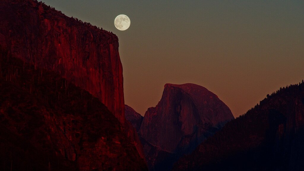 Cheating (Frustration) - Weekly Challenge - Nature Photographers Network