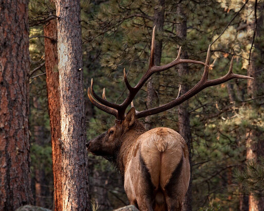 Disdain - Weekly Challenge - Nature Photographers Network