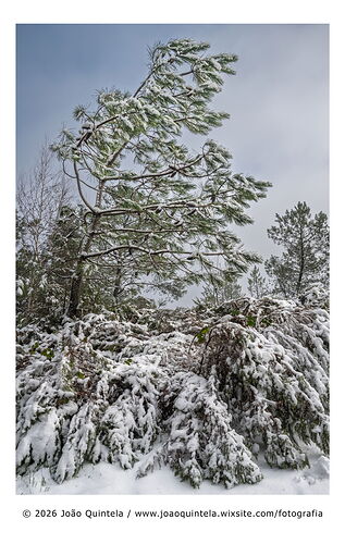 "Winter scene" - Landscape Critiques - Nature Photographers Network
