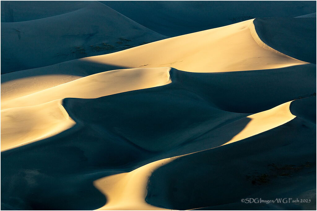 Sharp Edges - Weekly Challenge - Nature Photographers Network