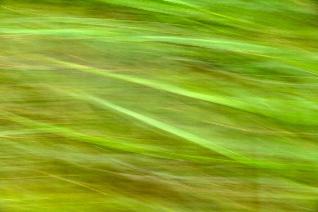 Grass Waves - Abstract Nature Critiques - Nature Photographers Network