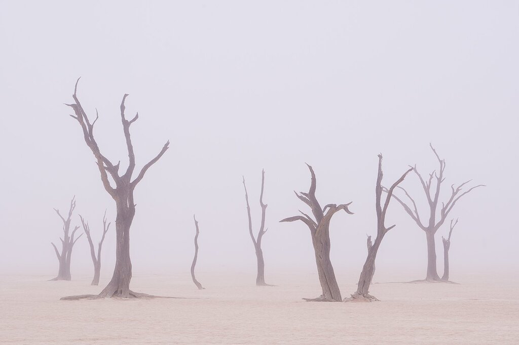 Ghostly Dancers - Weekly Challenge - Nature Photographers Network