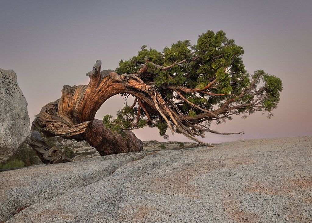 Perseverance - Landscape Critiques - Nature Photographers Network