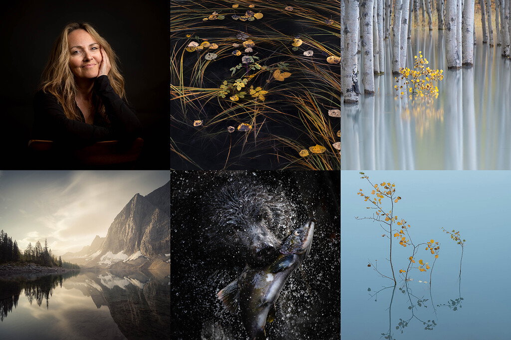 Webinar - The Art of Connection - Stories Through the Lens by Viktoria ...