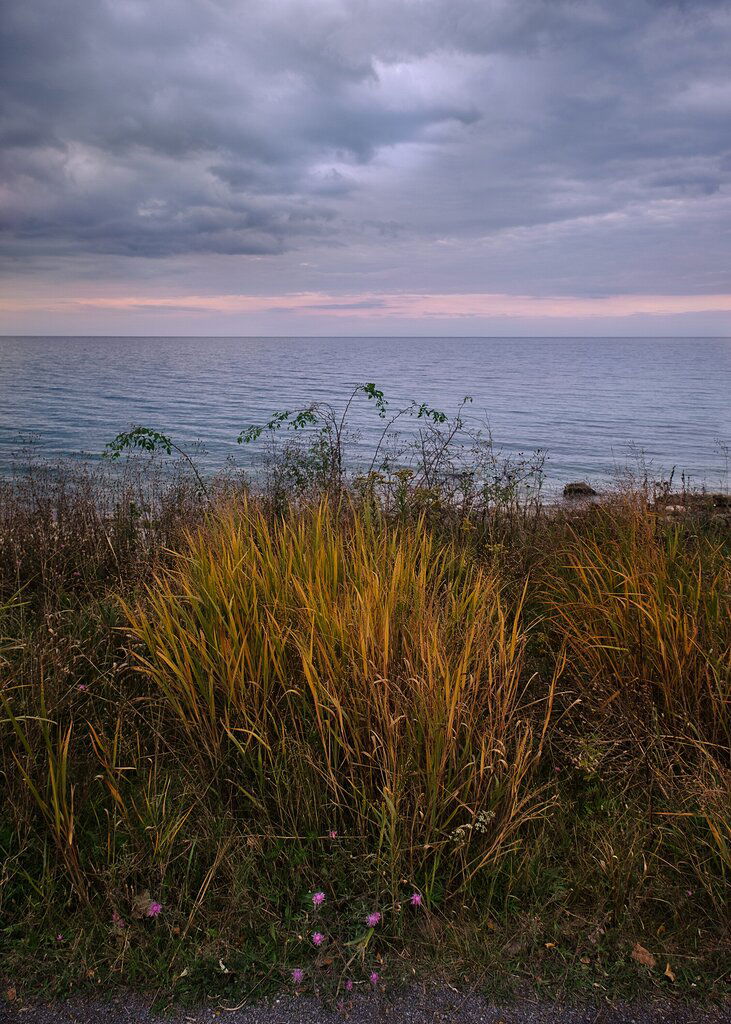 Just some grass - Rework - Landscape Critiques - Nature Photographers ...