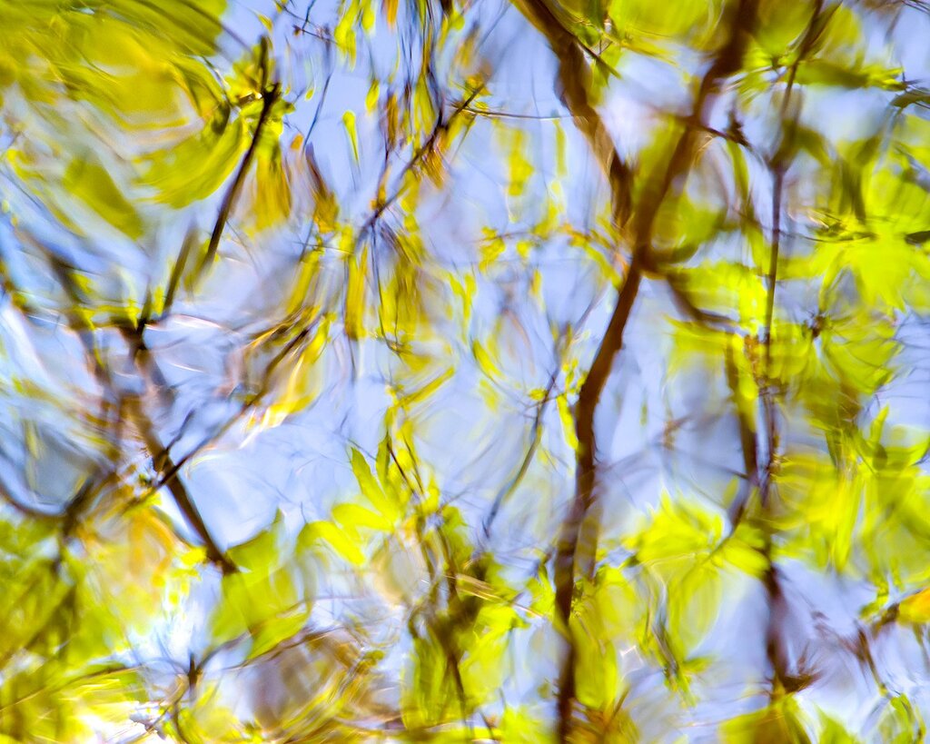 Spring Exuberance - Abstract Nature Critiques - Nature Photographers ...