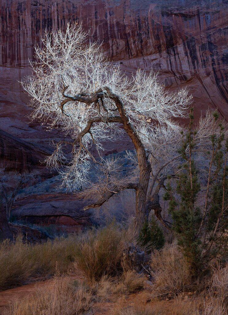 Solitary majesty - Landscape Critiques - Nature Photographers Network
