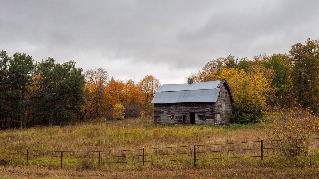 Driven to a standstill - Everything Else Critiques - Nature ...