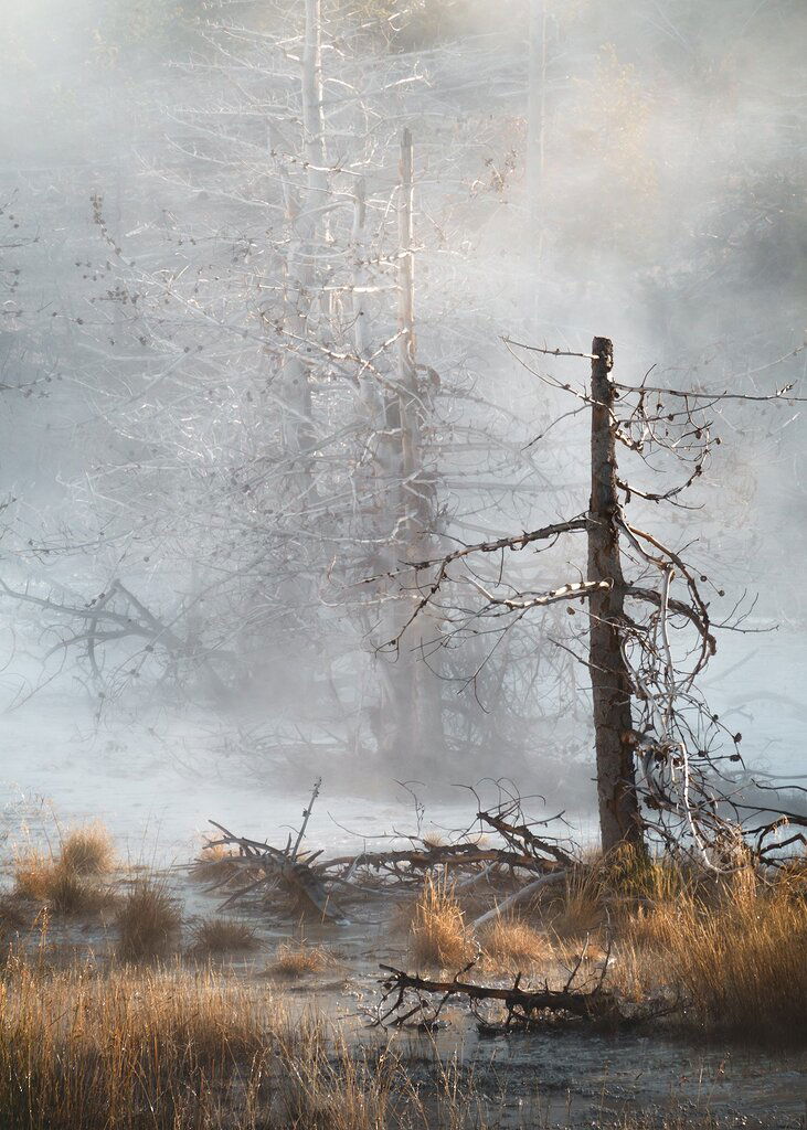 Look Behind You - Landscape Critiques - Nature Photographers Network