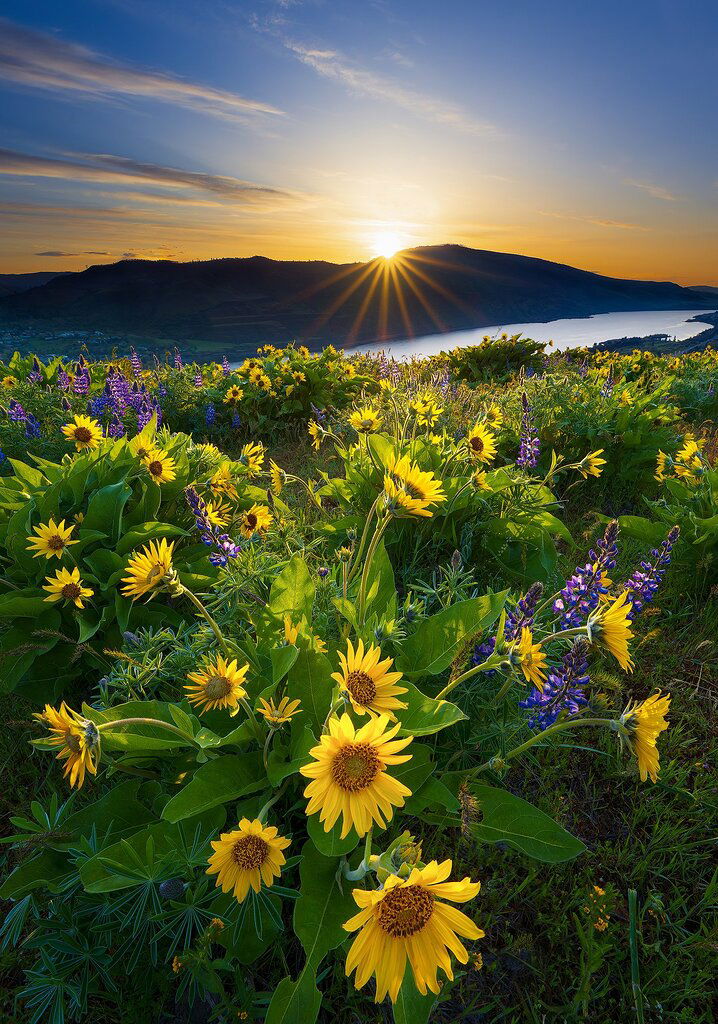 Rowena Crest Sunrise - Landscape Critiques - Nature Photographers Network