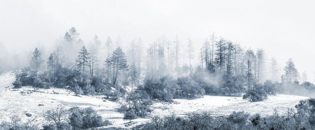 The best I can do for snow - Landscape Critiques - Nature Photographers ...