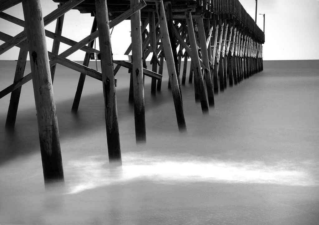 To See a Pier and Reposts - Everything Else Critiques - Nature ...
