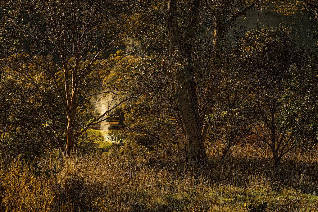 Peaceful Breakfast - Landscape Critiques - Nature Photographers Network