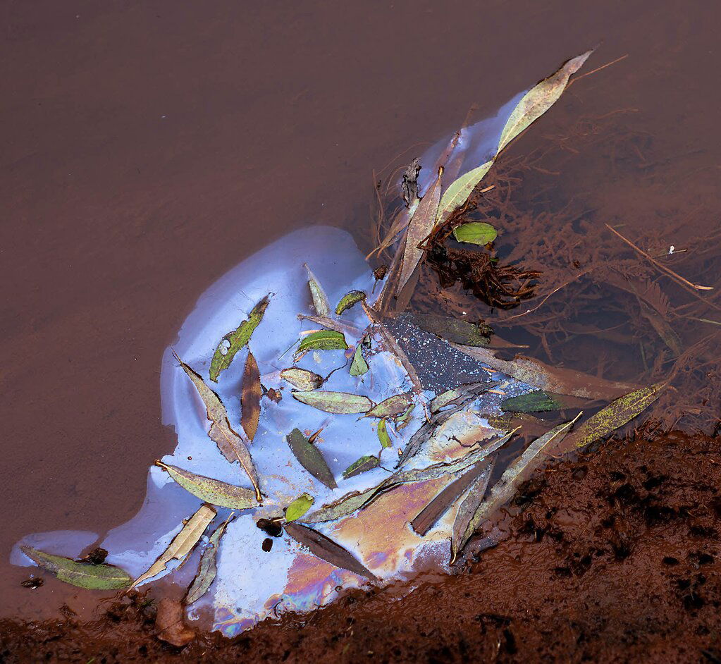 Pollution? - Abstract Nature Critiques - Nature Photographers Network