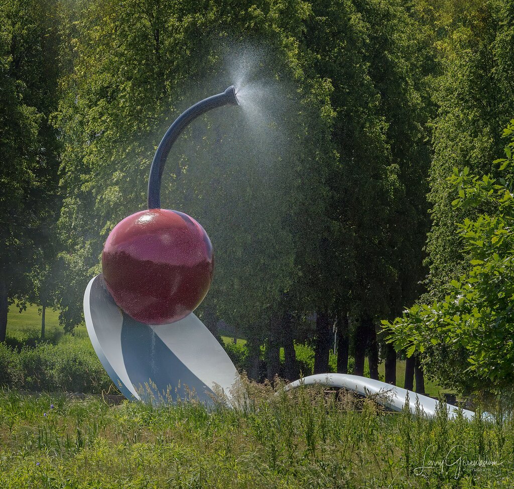 Wet Cherry on a Spoon - Image Critiques - Nature Photographers Network