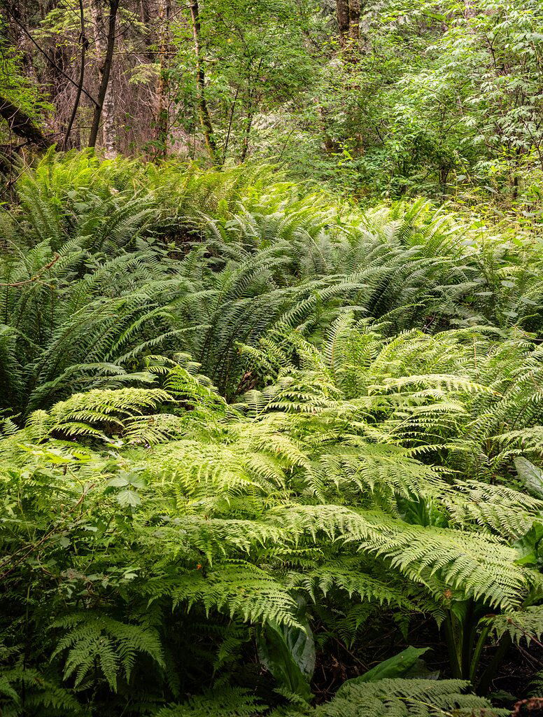 Layer upon Layer - Landscape Critiques - Nature Photographers Network Layer upon Layer - Landscape Critiques - Nature Photographers Network
