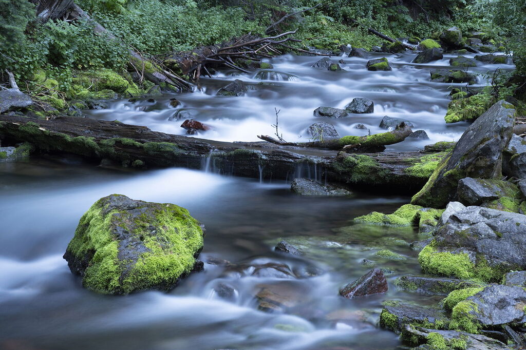Magical River - Image Critiques - Nature Photographers Network
