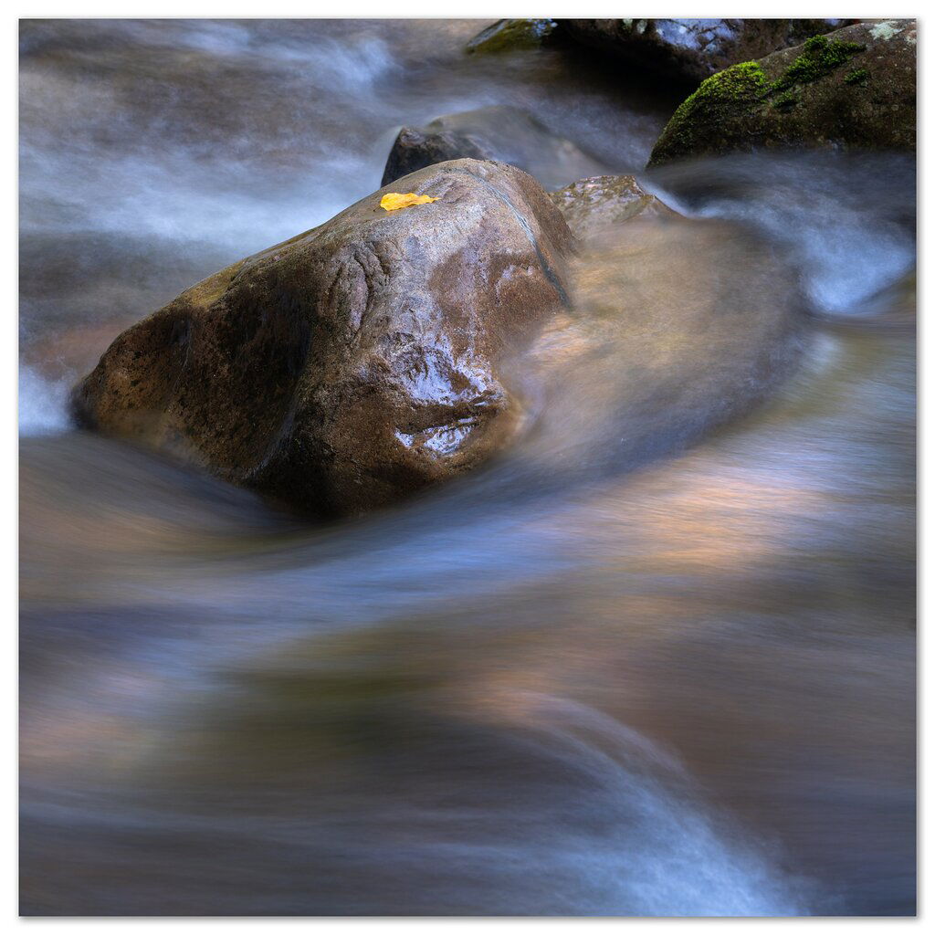 Close Up - Landscape Critiques - Nature Photographers Network