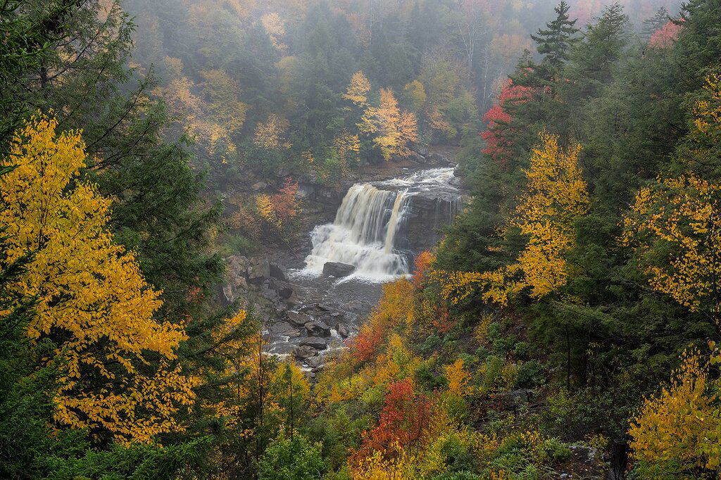 Framed - Weekly Challenge - Nature Photographers Network