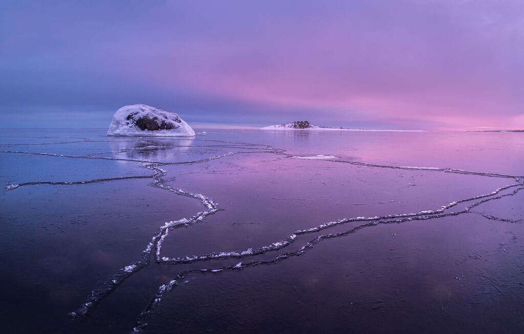 Violet Candy - Image Critiques - Nature Photographers Network