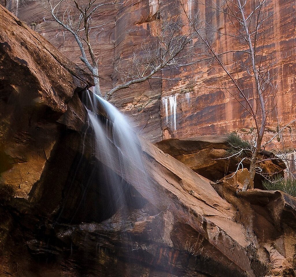 Zion Fall - Image Critiques - Nature Photographers Network