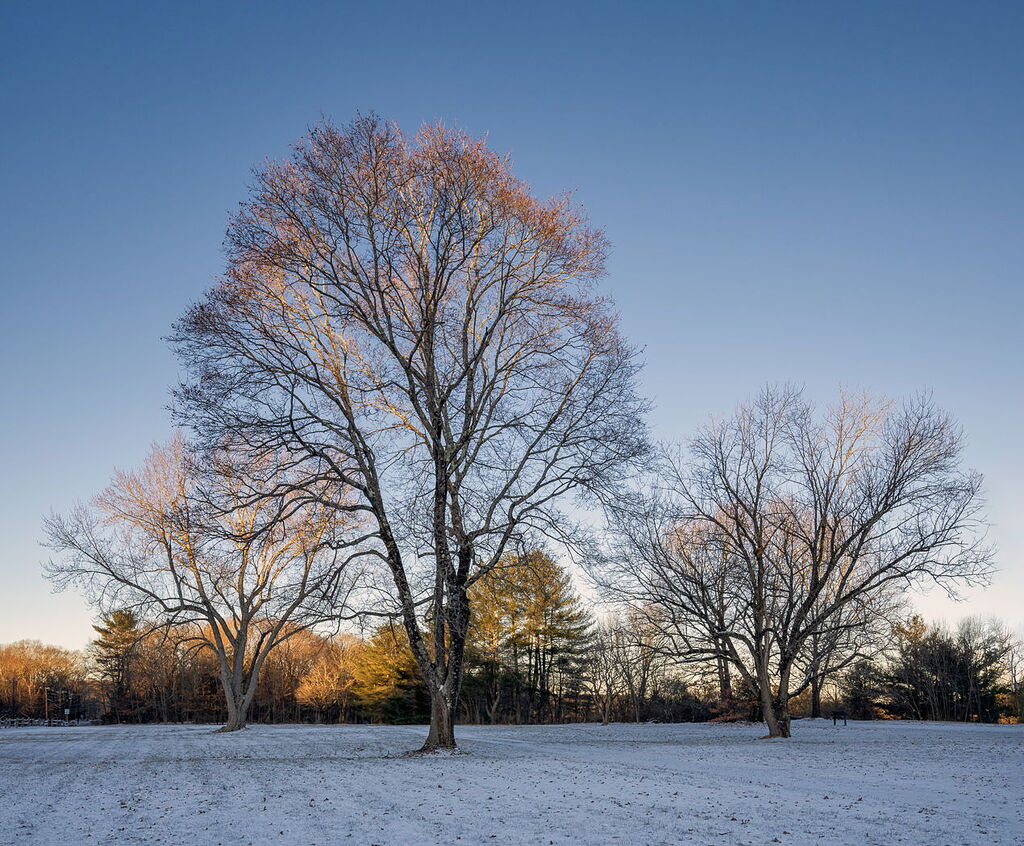 Cold Winter Morning - UPDATED - AGAIN - Landscape Critiques - Nature ...