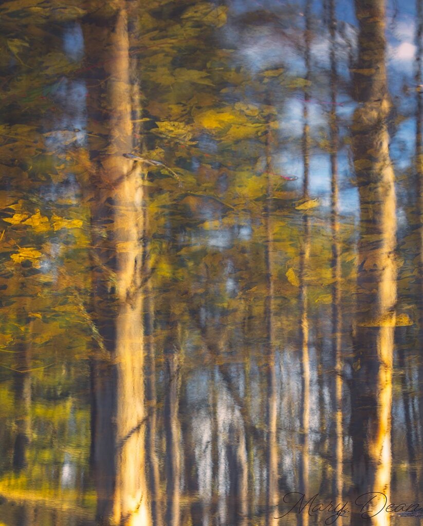 Winter Reflection - Abstract Nature Critiques - Nature Photographers ...