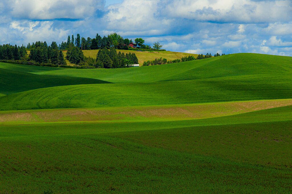 Palouse in Color - Weekly Challenge - Nature Photographers Network